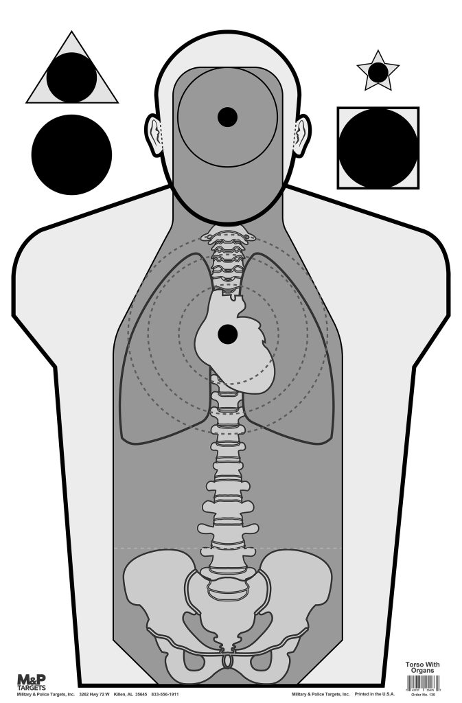 Torso With Organs (130) | Military & Police Targets, Inc. 833-556-1911