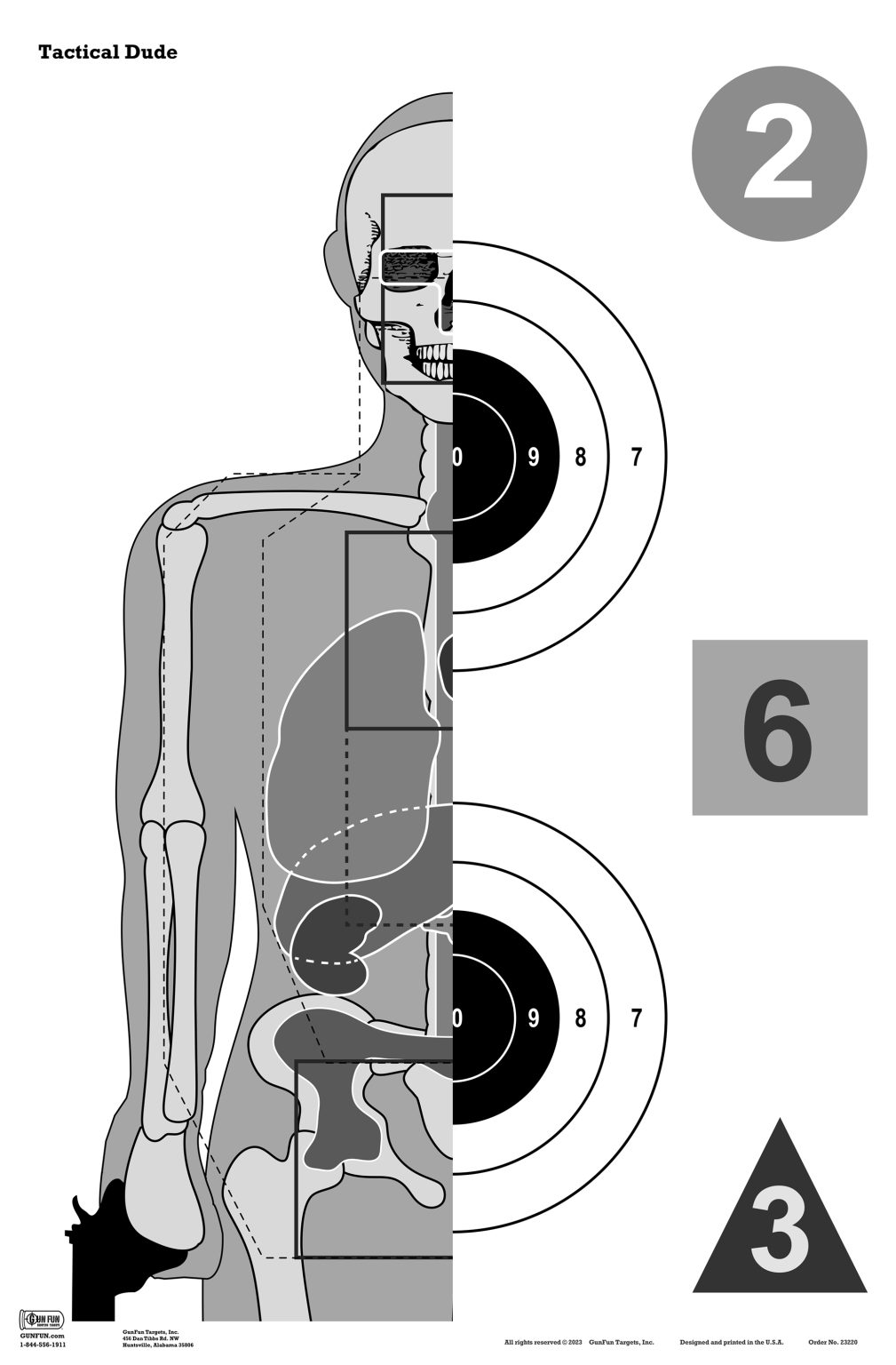 Torso With Organs (130) | Military & Police Targets, Inc. 833-556-1911